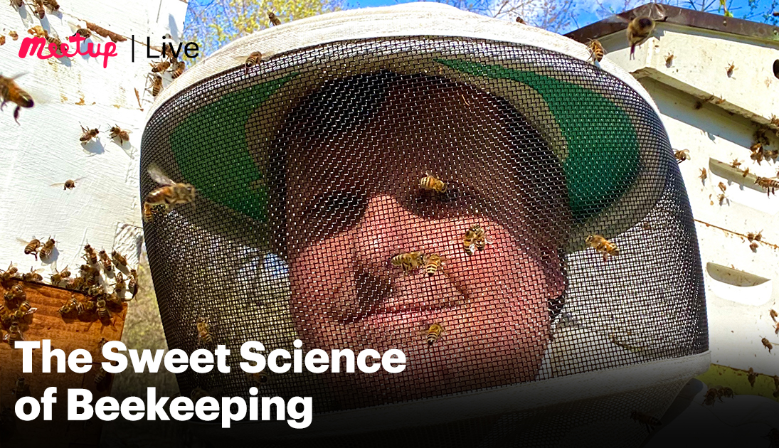Recording: The Sweet Science of Beekeeping - Meetup Blog