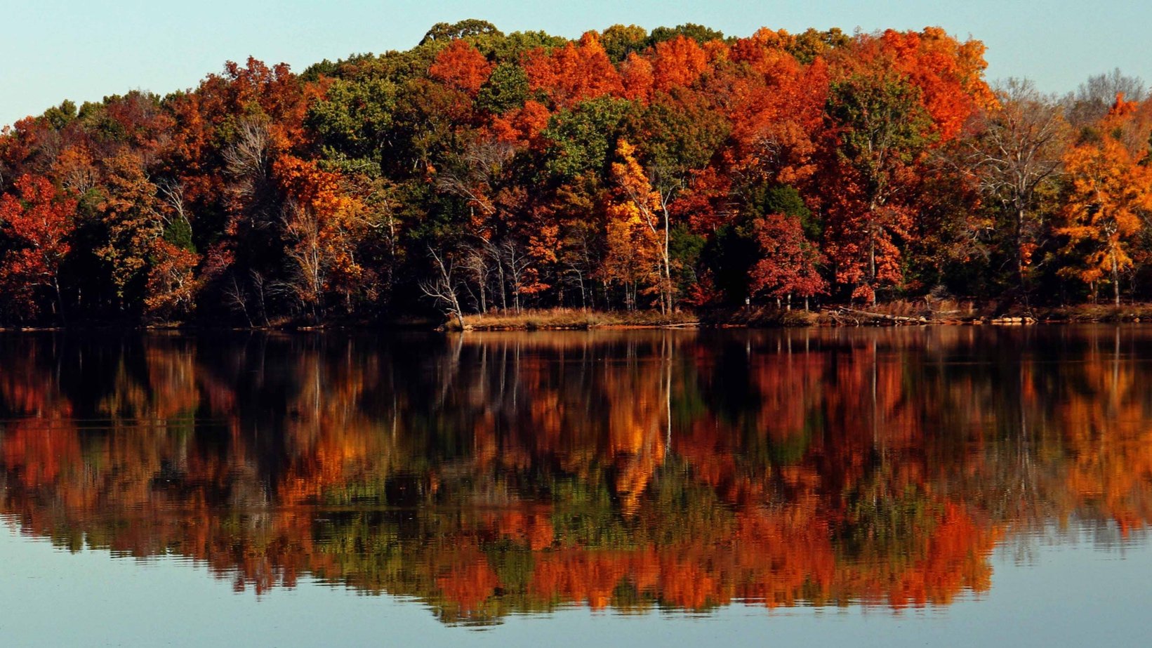 Fun Things to Do in Nashville for November 2022 - Meetup Blog