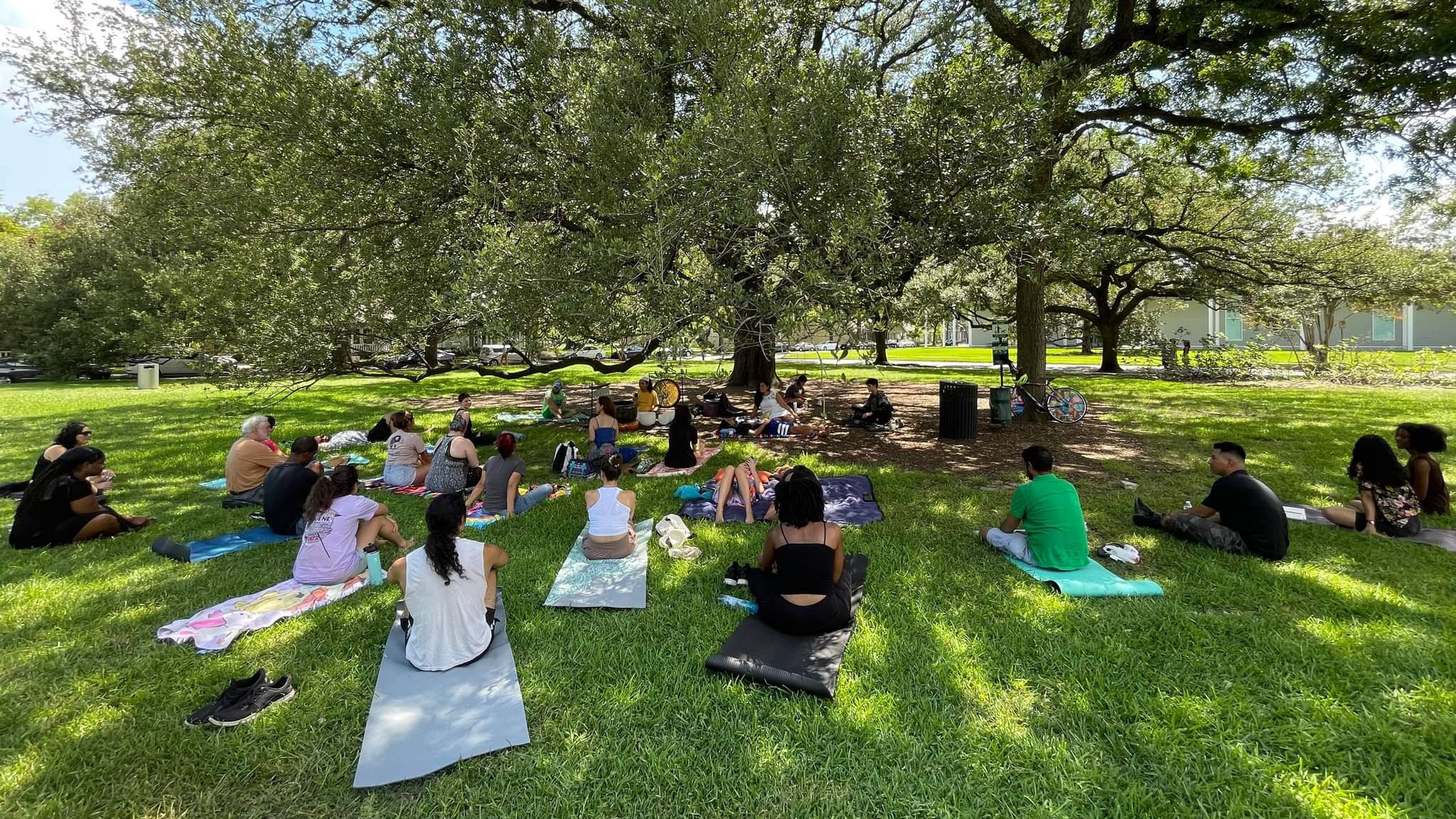 Fun Things to Do in Houston for March 2023 - Meetup Blog